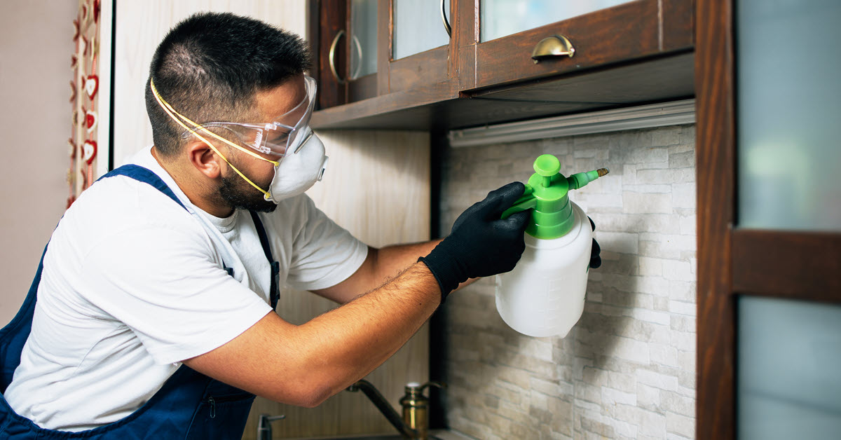 Home Pest Control 101: Keep Unwanted Guests Away